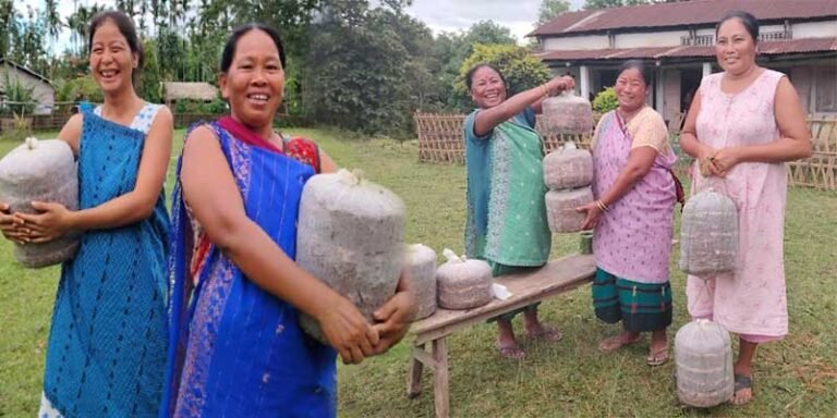 Assam: Aaranyak facilitates mushroom cultivation training for Karbi ...
