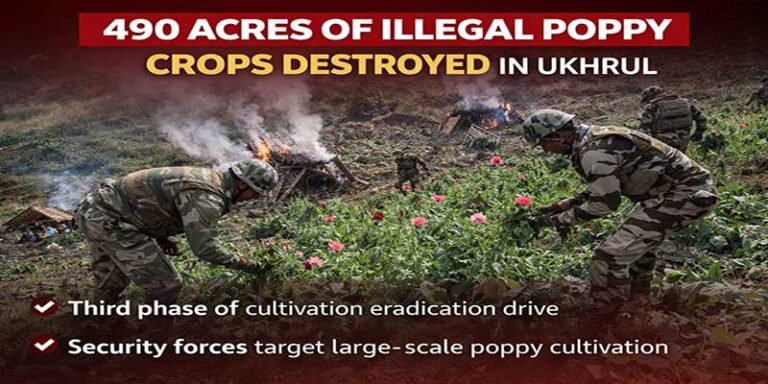 Manipur: Ukhrul Police Destroy Over 490 Acres of Poppy Crops